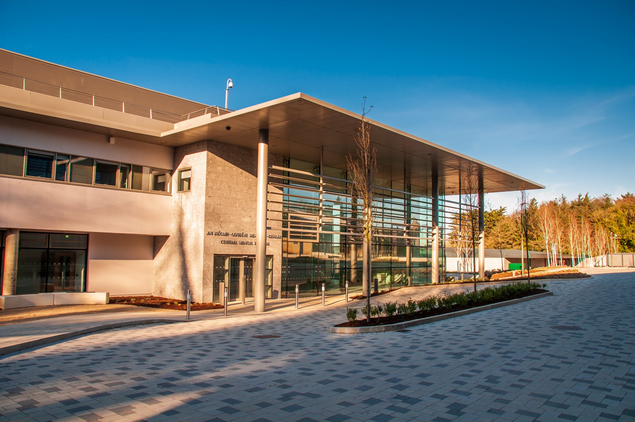 ICE Awards Finalist 2022 - National Forensic Mental Health Service ...